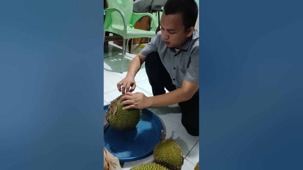 Durian hasil kebun sendiri - YouTube