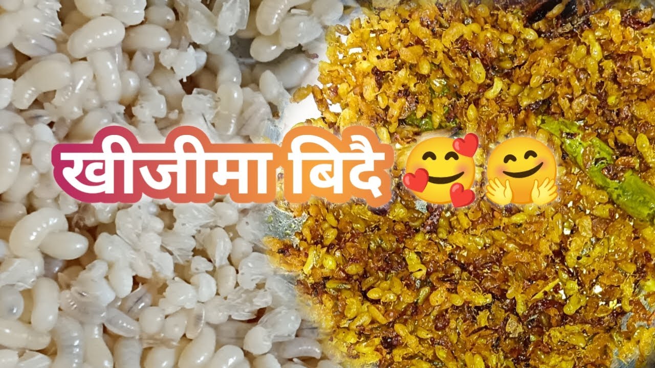 kwjwma bidwi 🤗🦗🦗 - YouTube