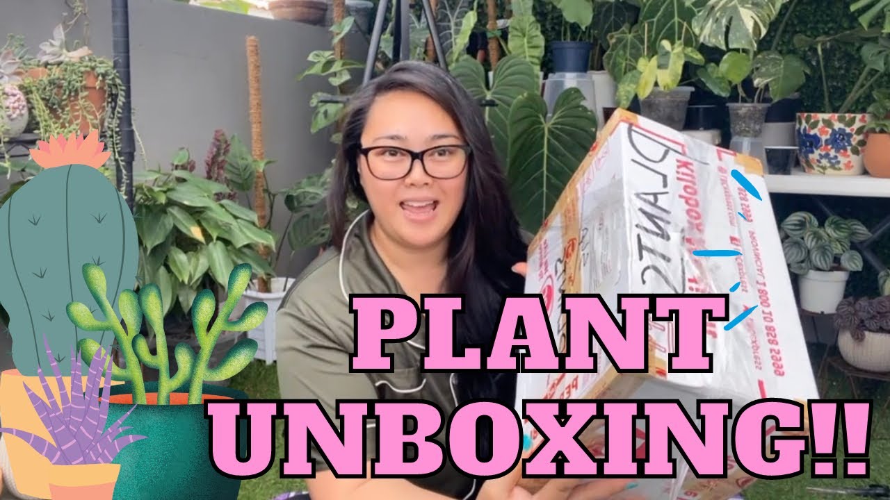 Plant Unboxing!! What's inside?? - YouTube