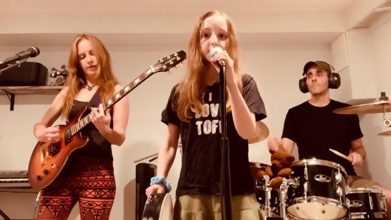 Sheena Is A Punk Rocker... 2020 (Covered by The Hawkbirds) - YouTube