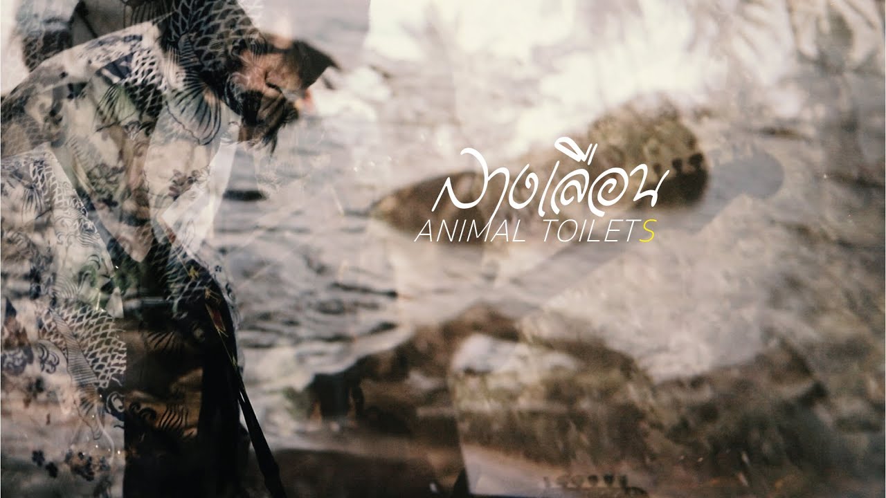 ลางเลือน-ANIMAL TOILETS【OFFICIAL MV】#ศิลปิน #ทำเพลง #ลางเลือน#เพลงใหม่ ...