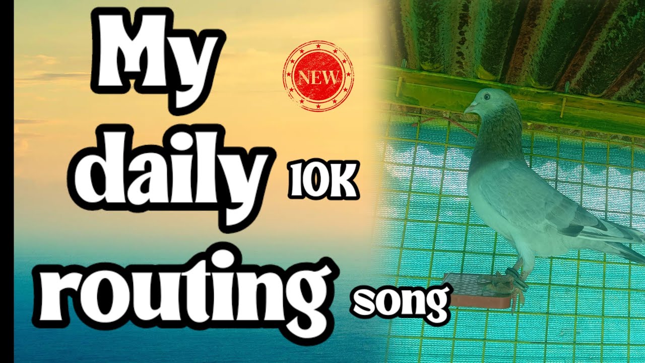MY DAILY ROUTING VIDEO 🎶 ️‍🔥🕊️ - YouTube