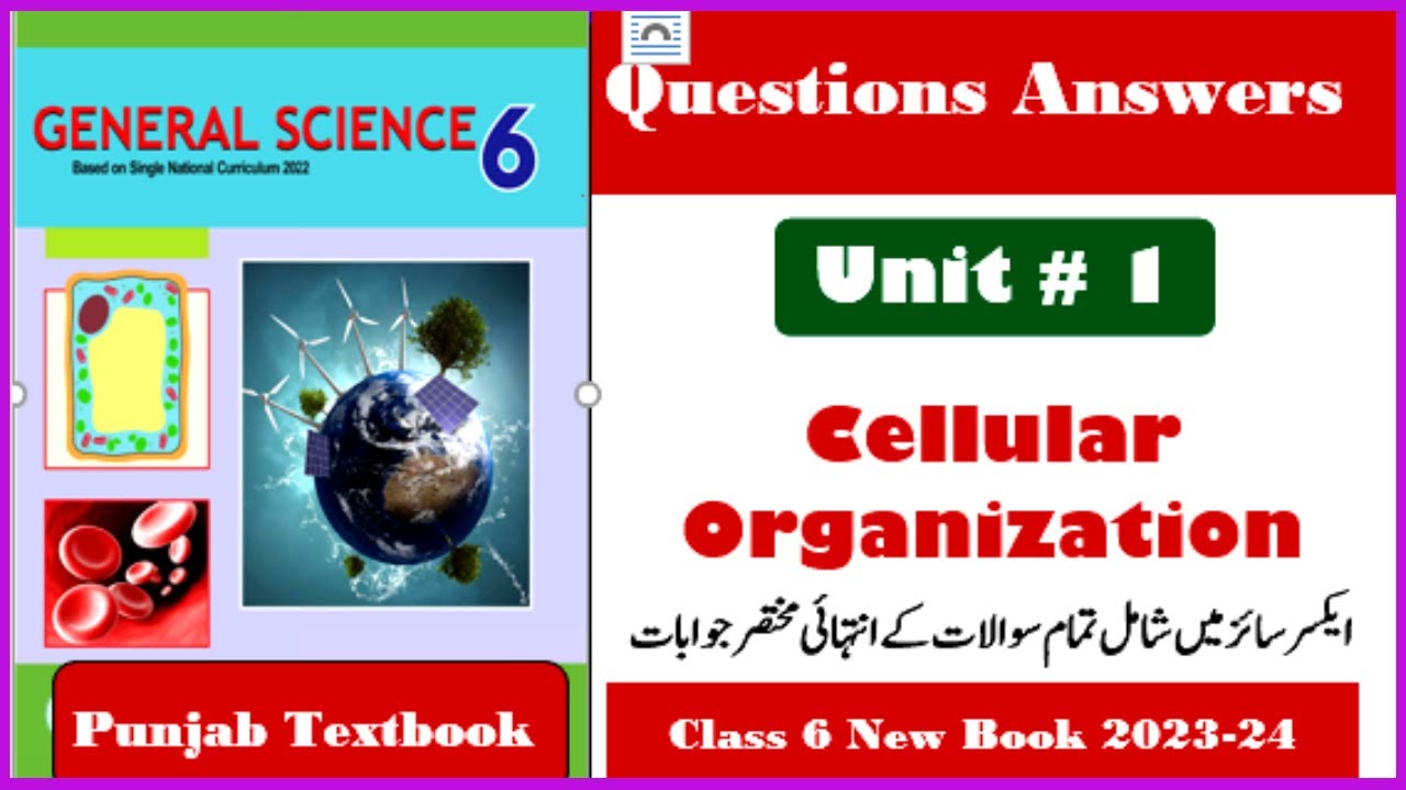 Science Class 6 Chapter 1 Question Answer | Cellular Organisation Class ...