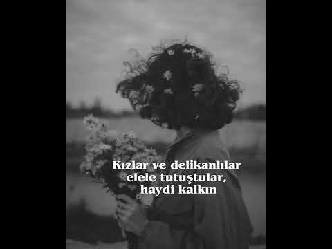 Kutup Yıldızı Brindarım | Türkçe Sözleri
