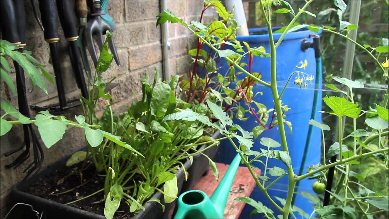 Prepper Garden - YouTube