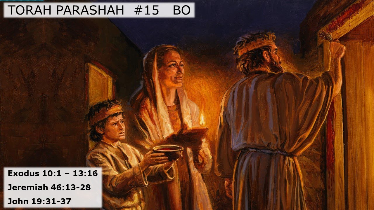 February 1, 2025 | Torah Portion #15: Bo / "Come" - Exodus 10:1 - 13:16 ...