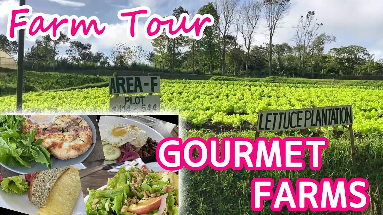 [002] Gourmet Farms @ Cavite, Philippines - YouTube