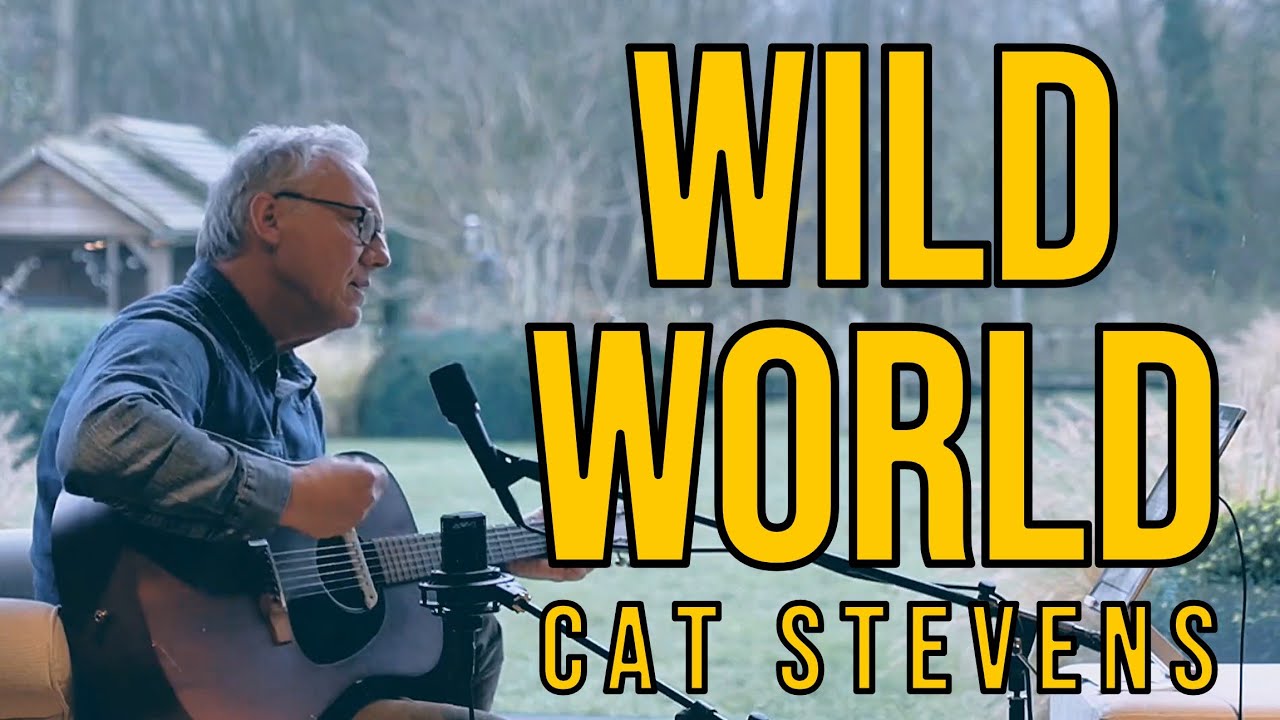 Wild World - Cat Stevens - ACOUSTIC COVER - YouTube
