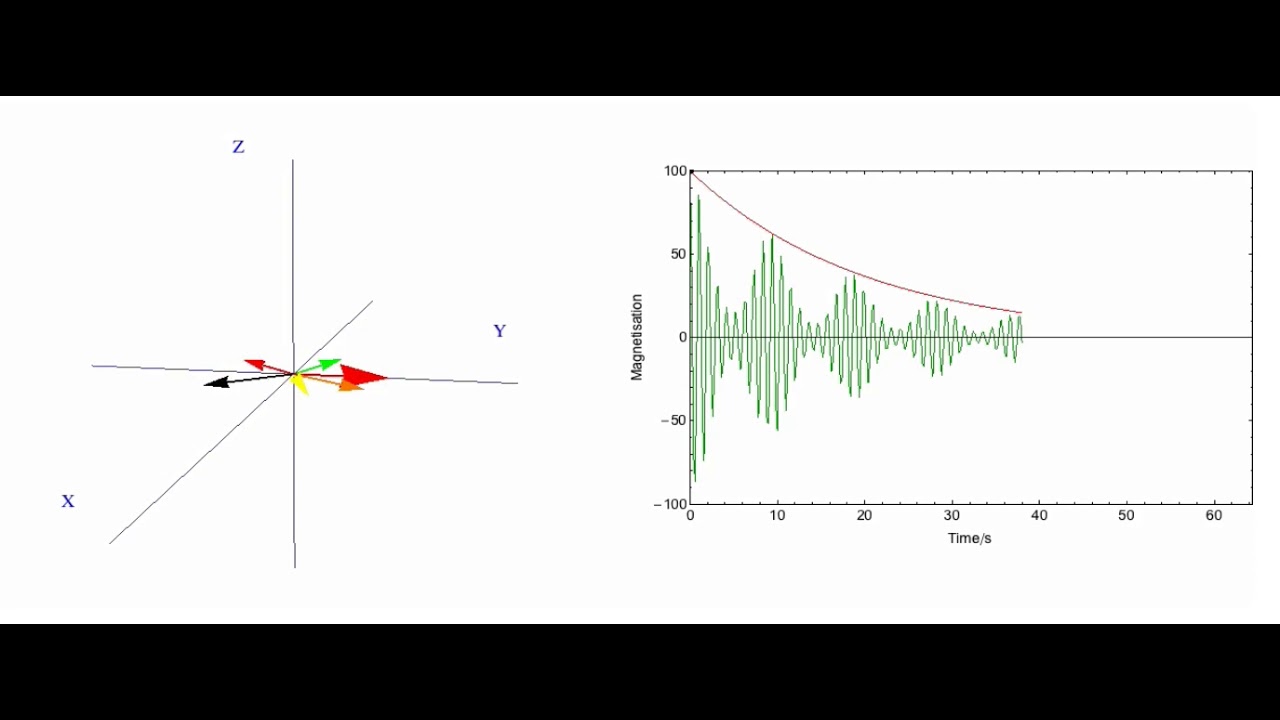 NMR T2 relaxation Measurements - YouTube
