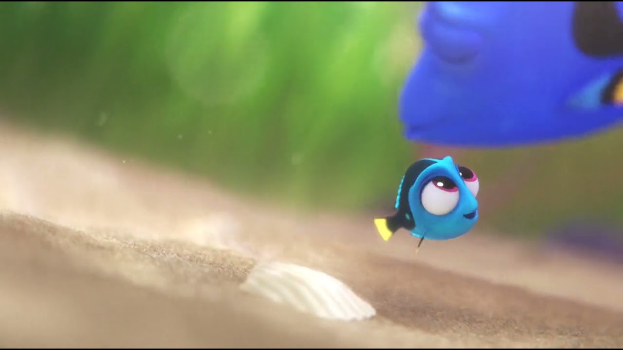 Oh look shells! - YouTube