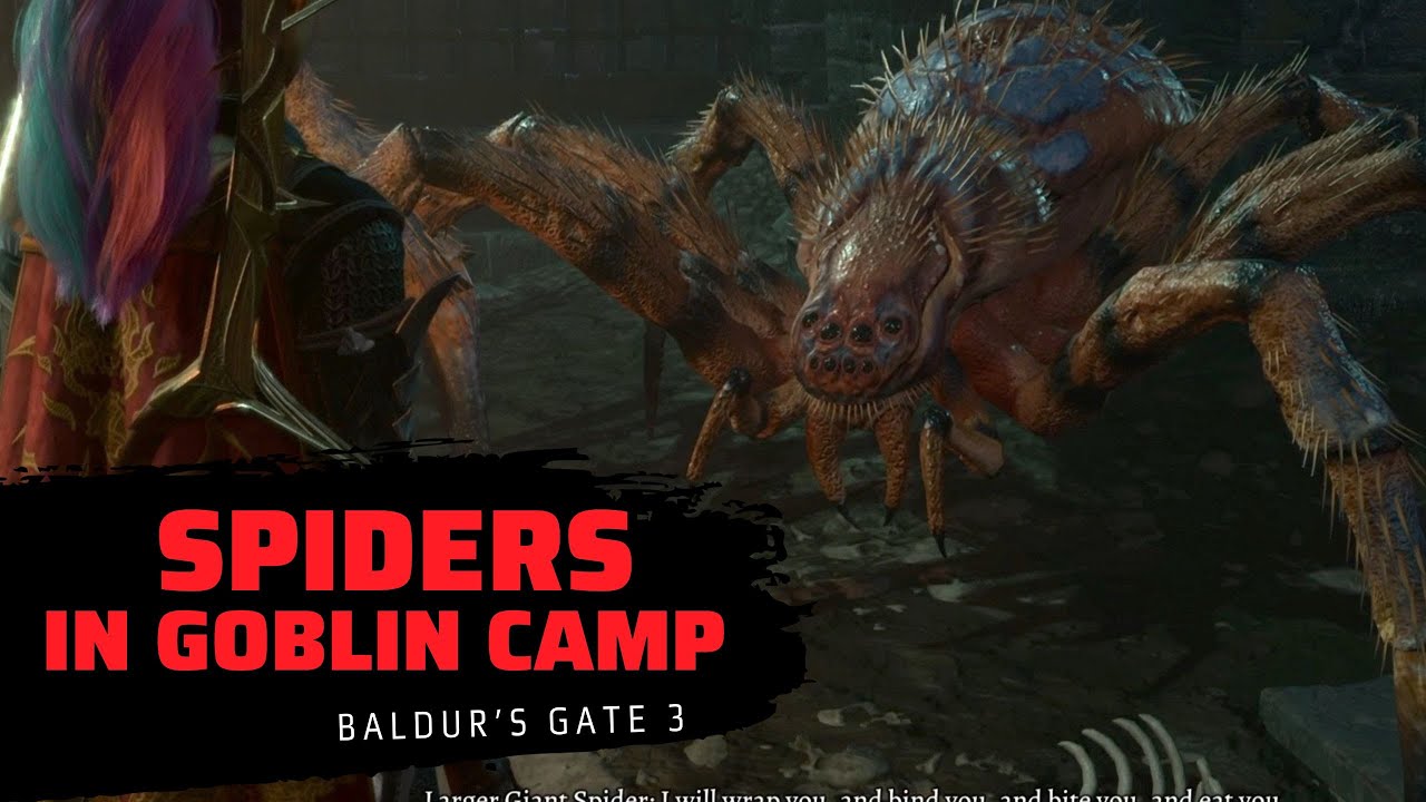 What happens if you let out the spiders in goblin camp | Baldur's gate ...
