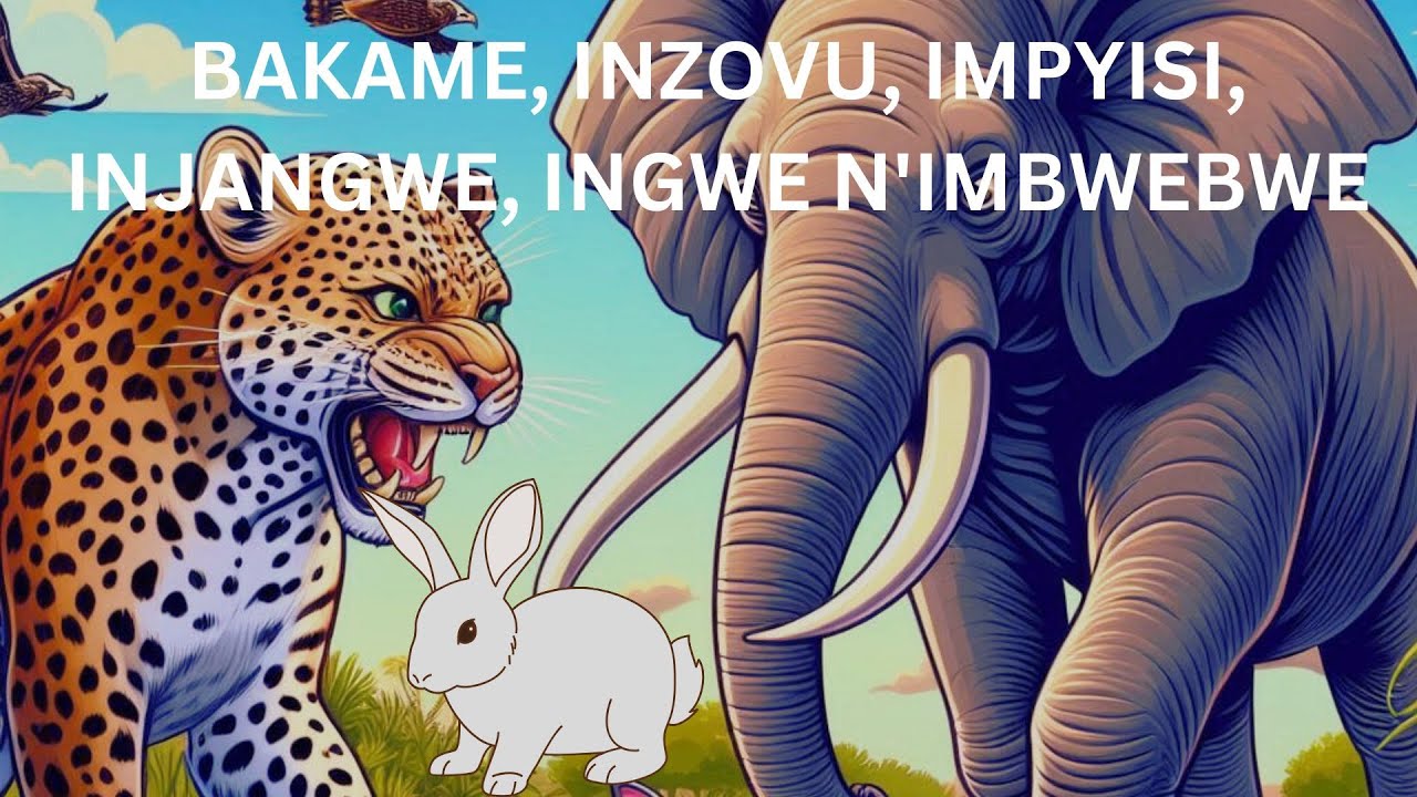 UMUGANI - BAKAME , INZOVU, IMPYISI,INJANGWE, INGWE ,IMBWEBWE ...