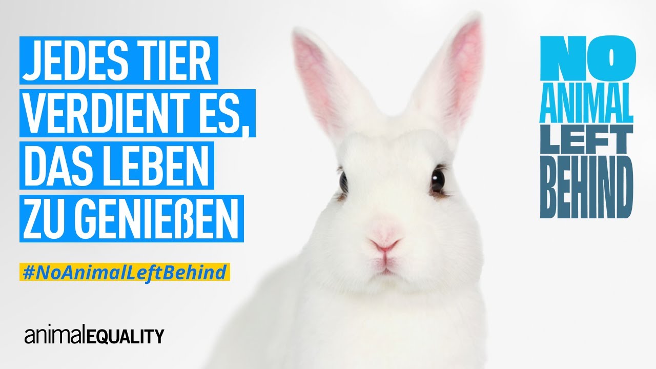 No Animal Left Behind: Recht auf psychische Gesundheit - YouTube