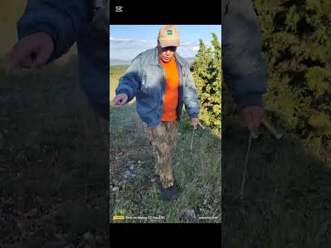 KÜTAHYA BÖLGESİNDEYİZ ARKADAŞLAR 0533 123 15 91 