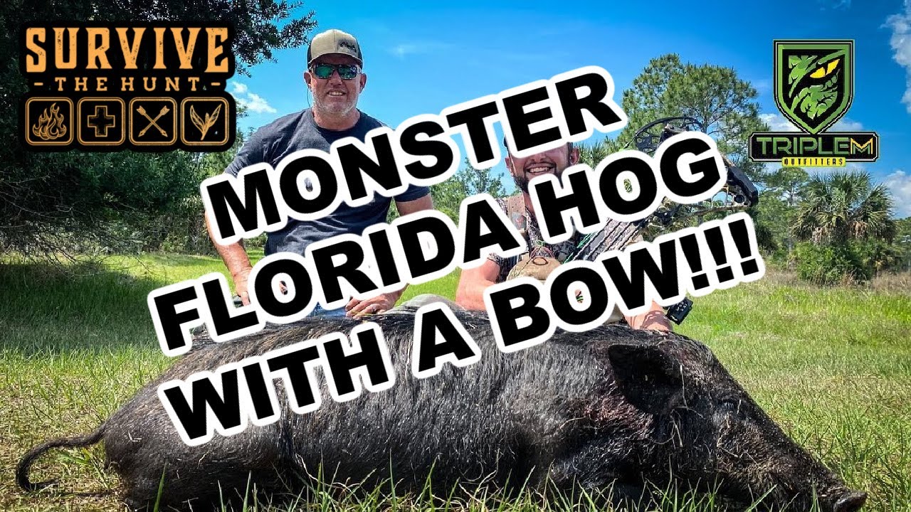 Monster Florida hog shot and fall on camera! Triple M Outfitters ...