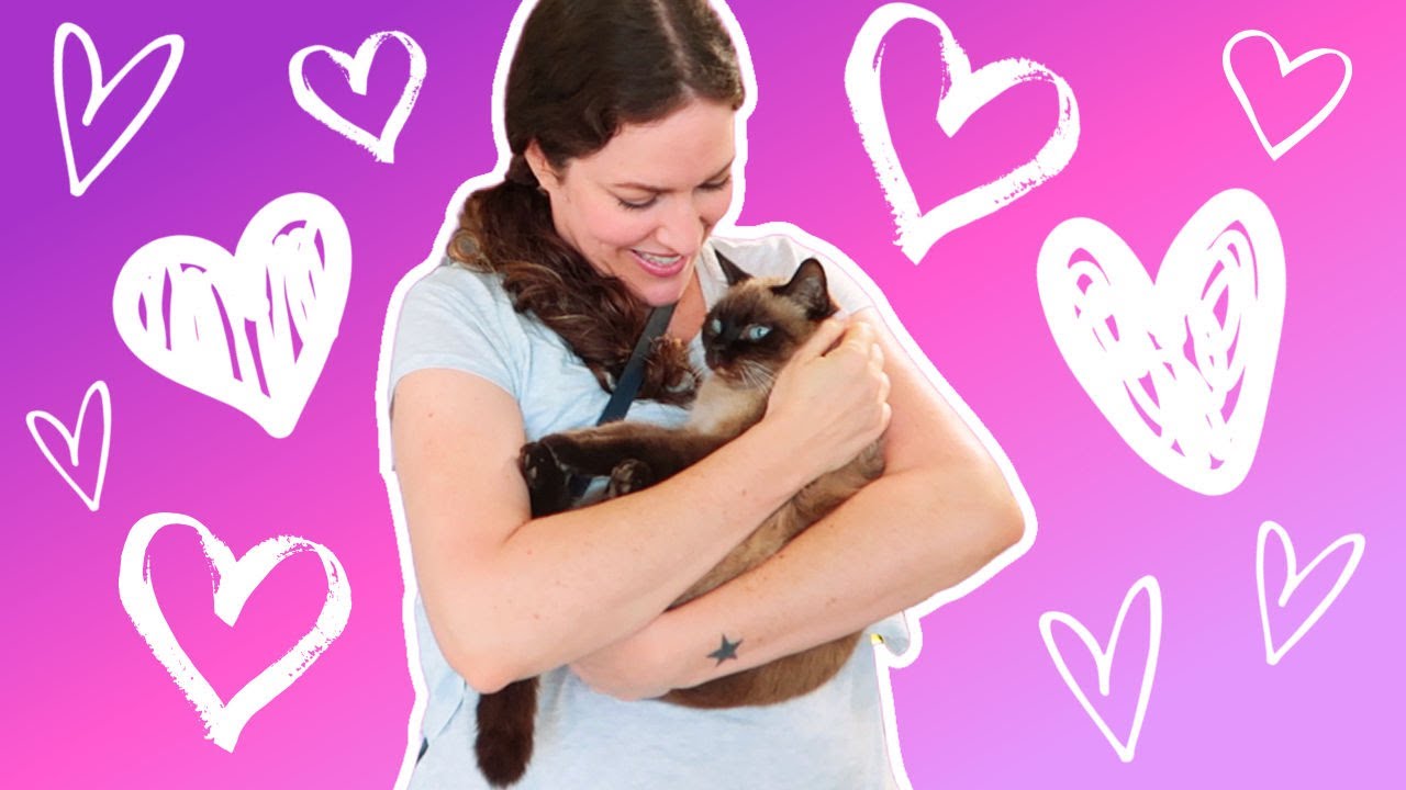 JE RETROUVE MON CHAT APRÈS 4 ANS!!! ★VLOG#201 - YouTube