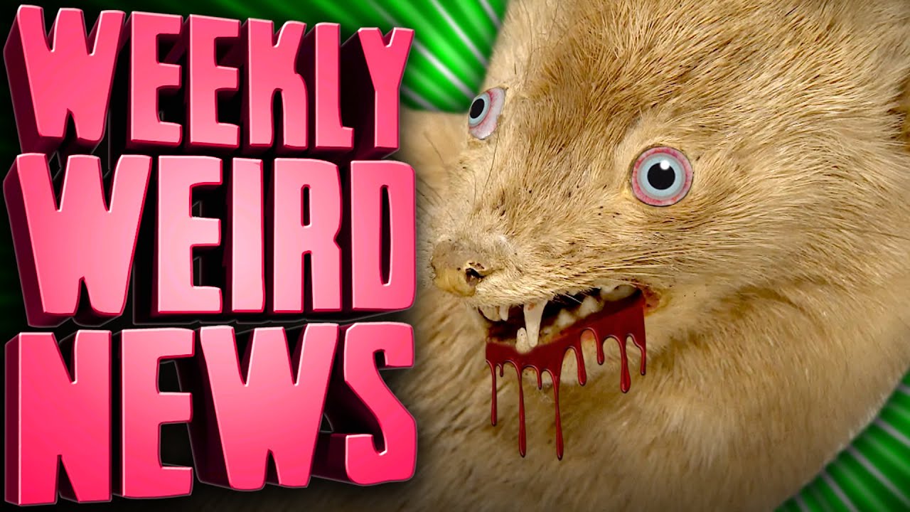 Zombie Minks and Disappearing Monoliths - Weekly Weird News - YouTube