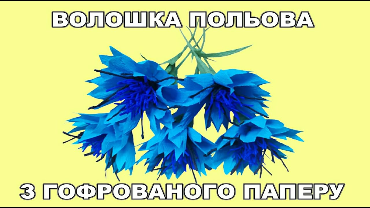 Diy ВОЛОШКА ПОЛЬОВА З ГОФРОВАНОГО ПАПЕРУ Youtube