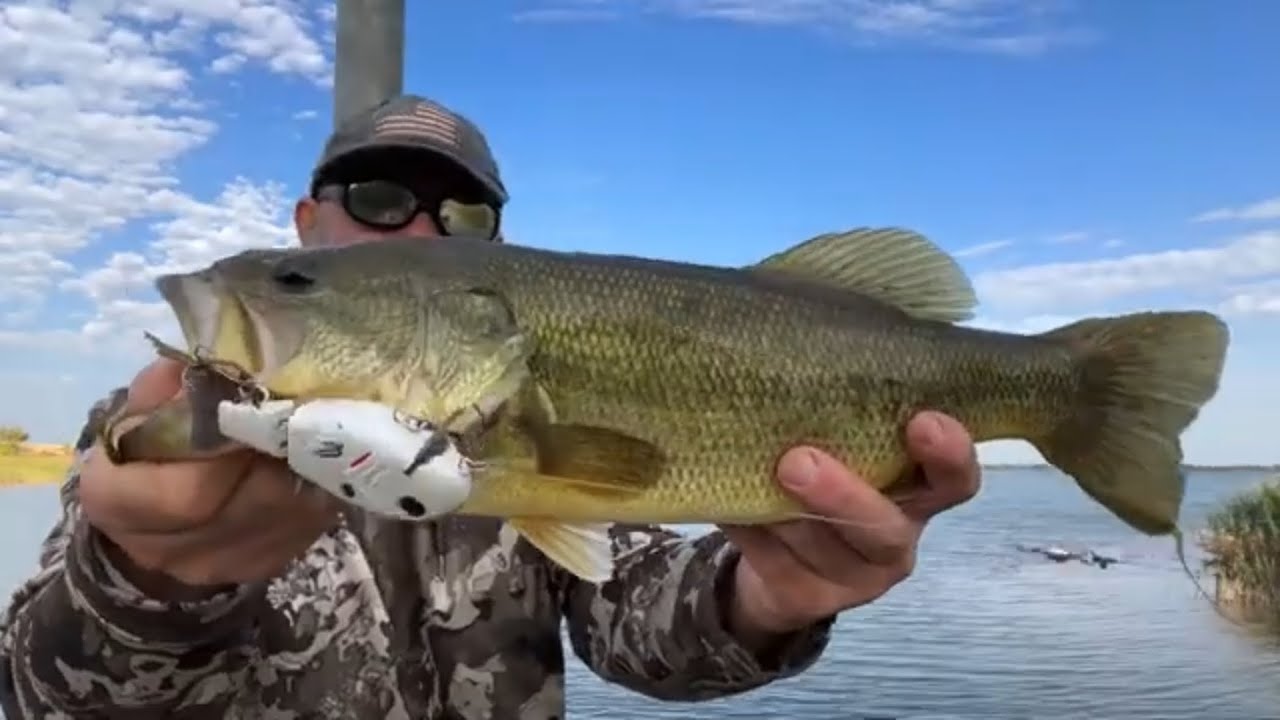 The Wake Walker - YouTube