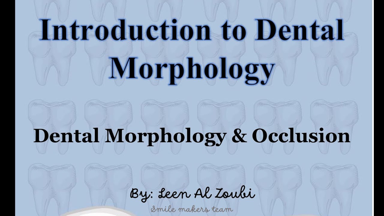 Morphology- Lecture (1) Introduction to Dental Morphology - YouTube