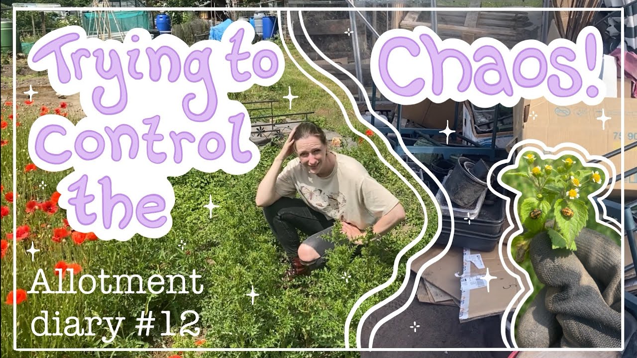 Getting the wild patch and my greenhouse under control! | 🌸🌱 Allotment diary 12 🌱🌸 - YouTube