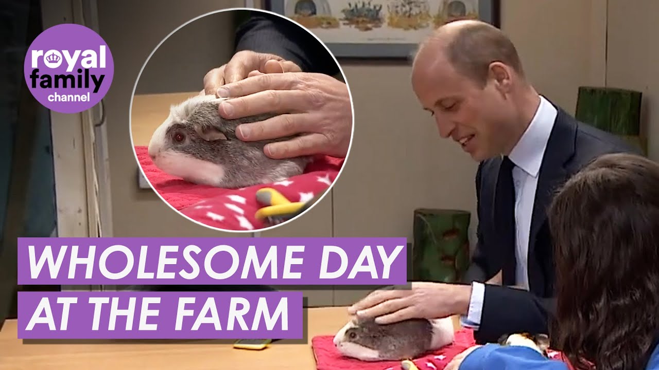 Prince William Plays With Adorable Guinea Pig at Birmingham Urban Farm ...