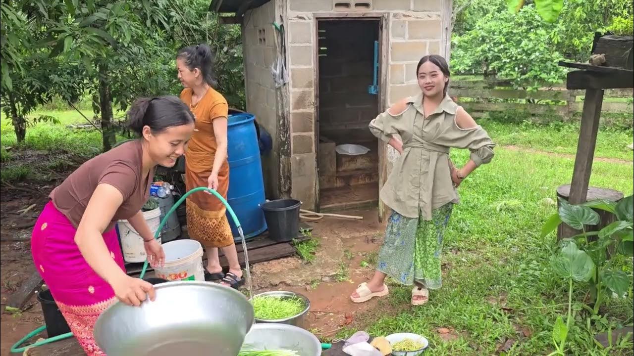 Sawv daws sib pab ua hauj - YouTube