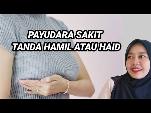 PAYUDARA SAKIT TANDA HAMIL ATAU HAID
