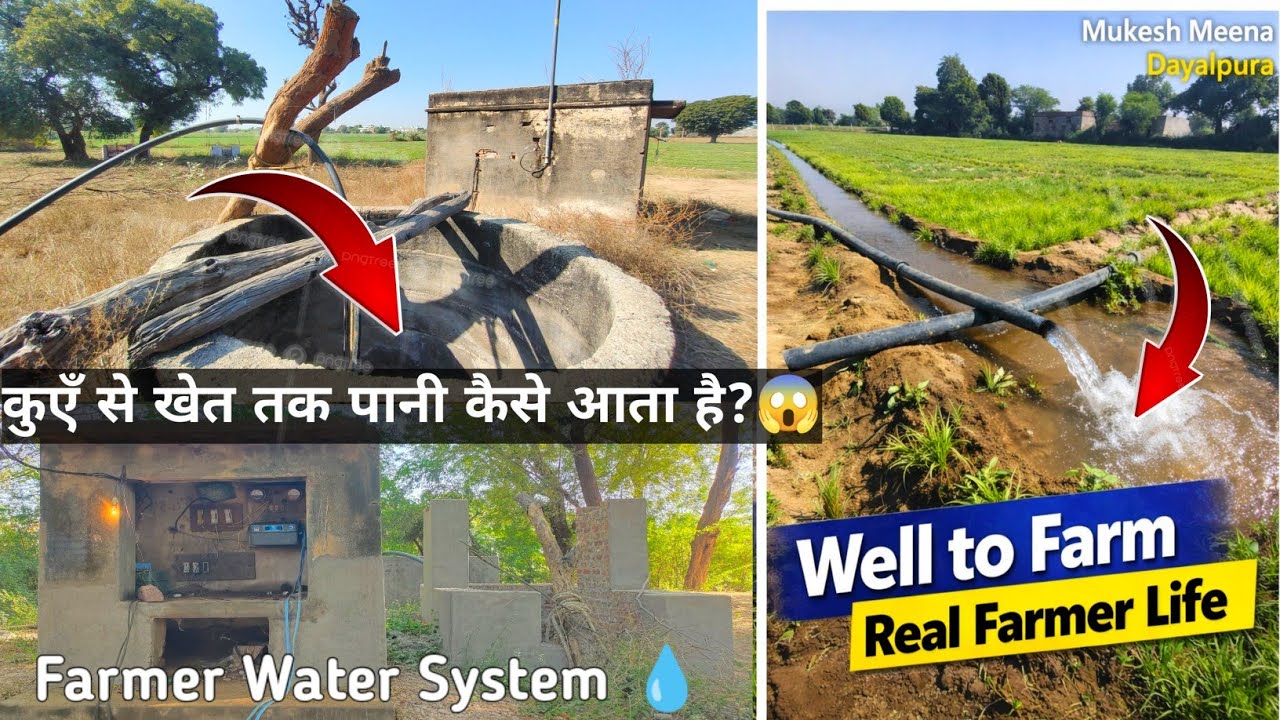 Well to Farm: The Water System Revolutionizing Agriculture - YouTube