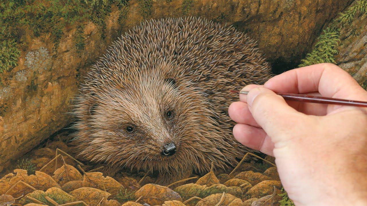 The Art of Painting a Hedgehog | Wildlife Art | Robert E Fuller - YouTube
