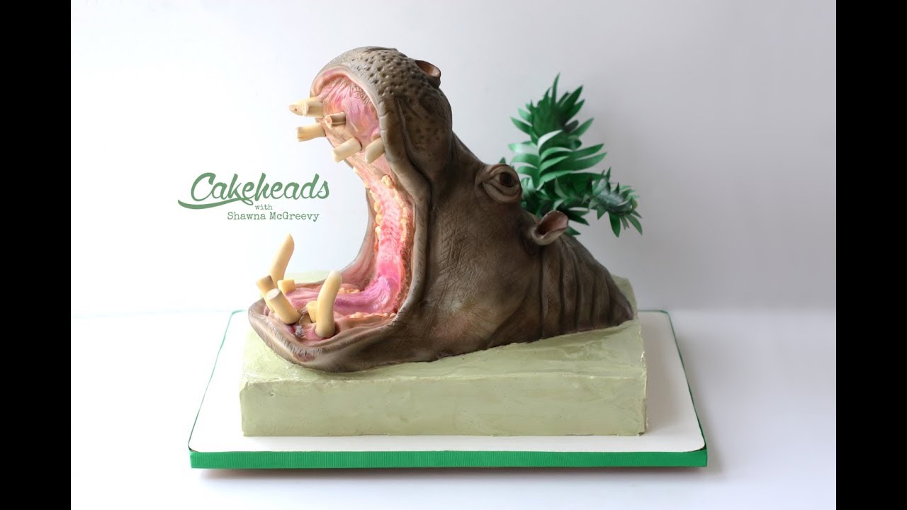 Realistic Hippo Cake (Airbrushing Time Lapse) - YouTube