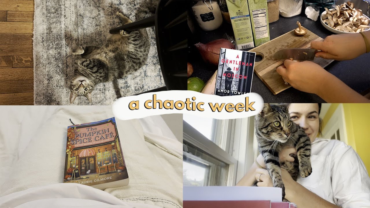 A Chaotic Week|| October 2025 ep 4 - YouTube