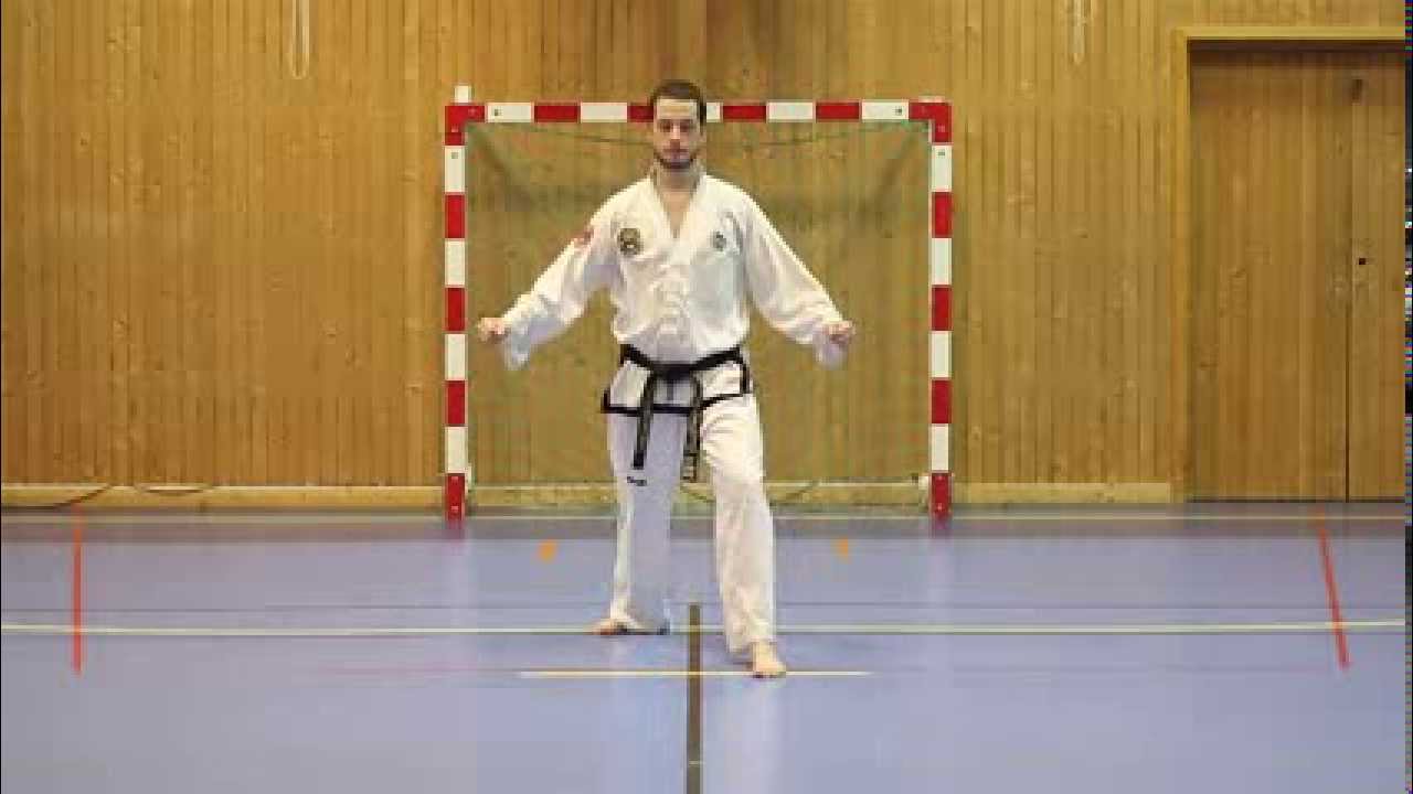 Saju Chagi - YouTube
