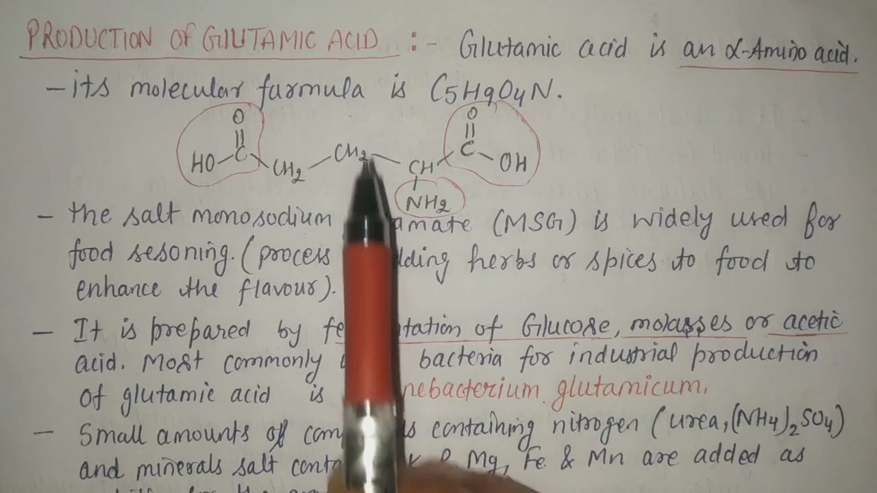 Lecture : Production of Glutamic acid - YouTube