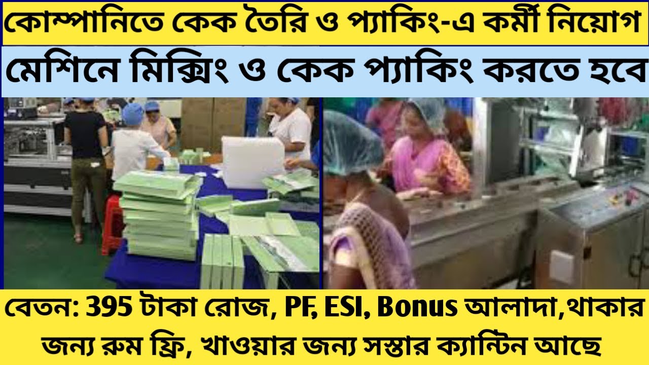 Biscuit Cake Company Job, Biscuit Cake Factory Helper, Packing ...