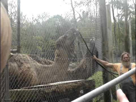 At the zoo part 2 - YouTube