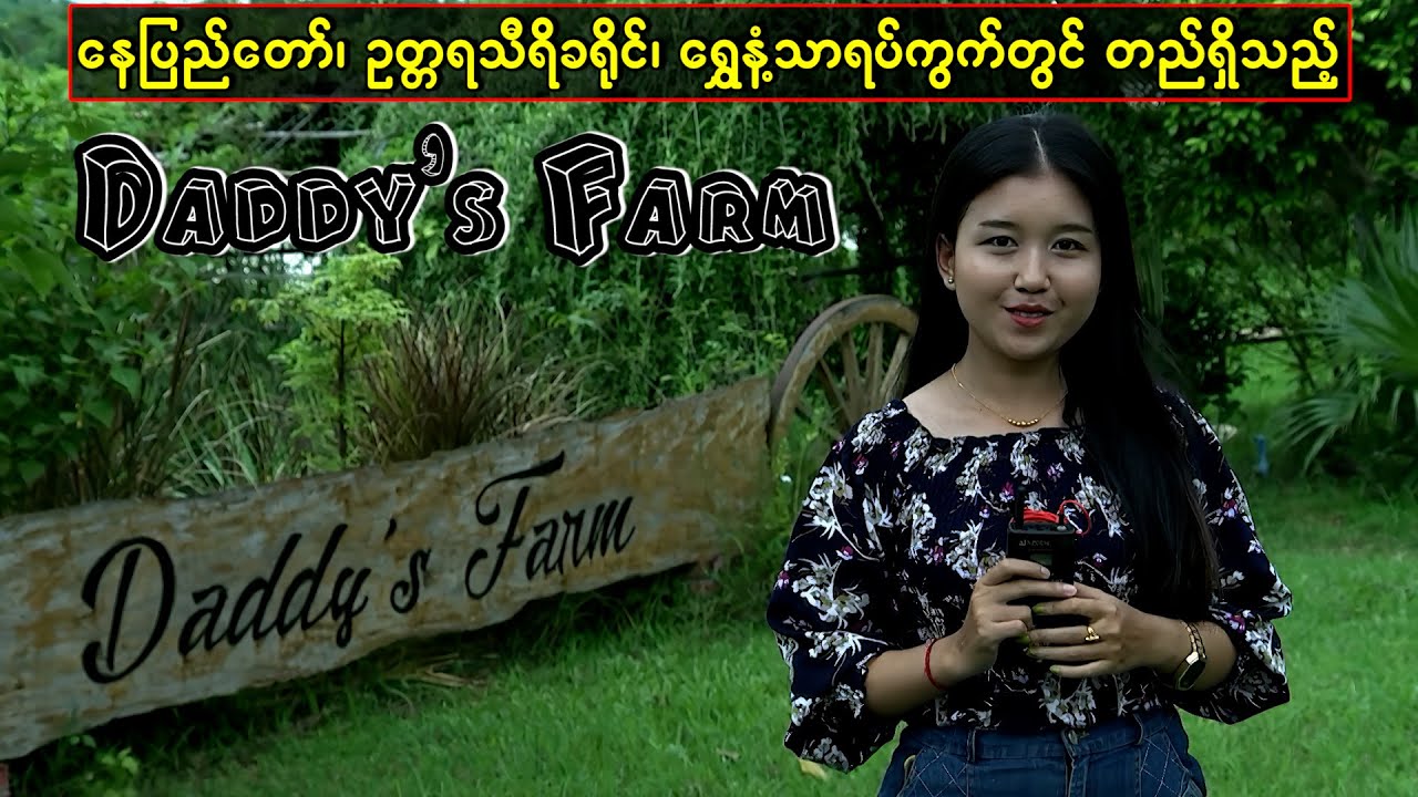 နေပြည်တော်၊ ဥတ္တရသီရိခရိုင်၊ ရွှေနံ့သာရပ်ကွက်တွင် တည်ရှိသည့် Daddy's Farm - YouTube
