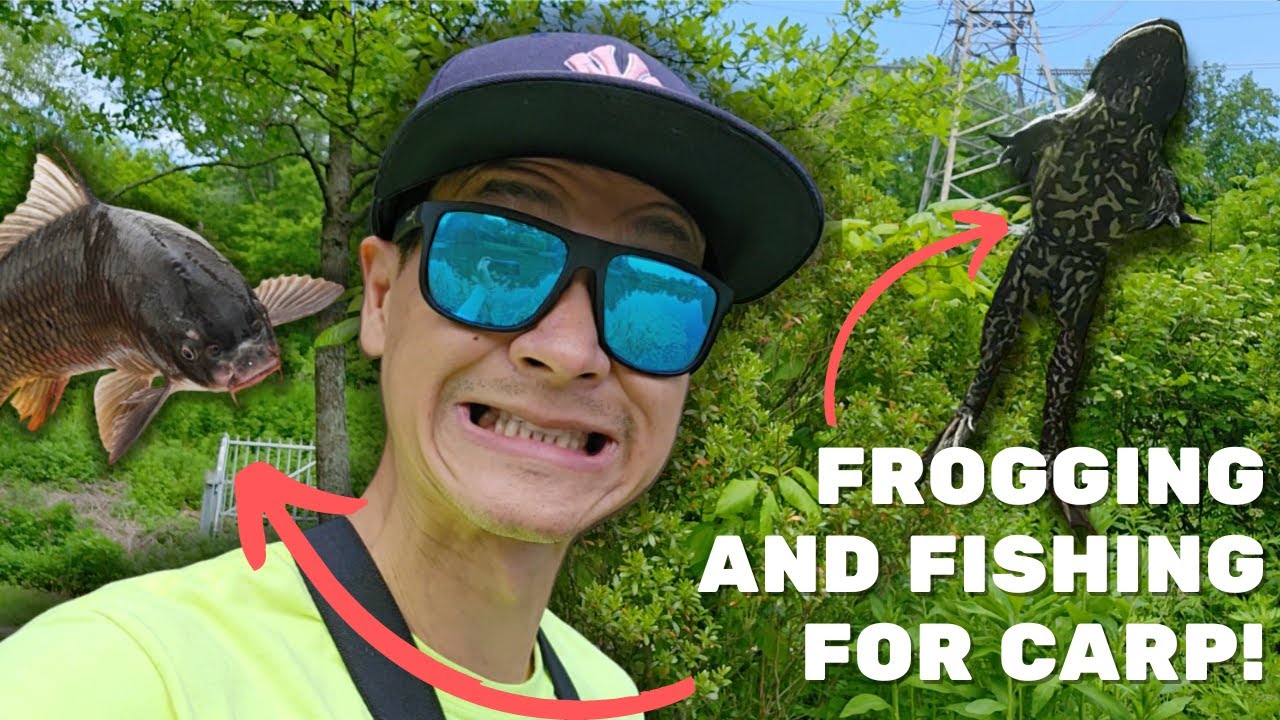 Fishing and frogging in the Eastchester, Mt. Vernon, and New Rochelle ...