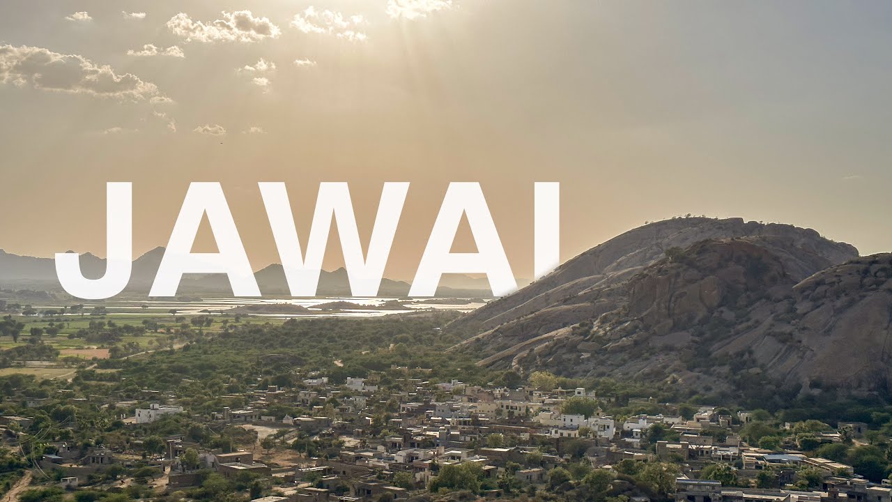 Jawai Leopard Safari | Jawai Bandh Resort | Jawai Bandh Leopard Safari ...