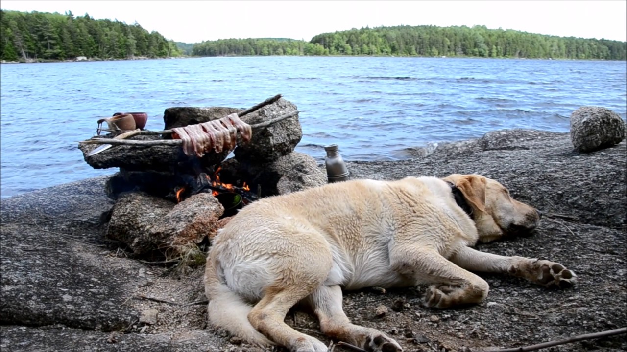 Back country Canoeing on Panuke lake Nova Scotia - YouTube