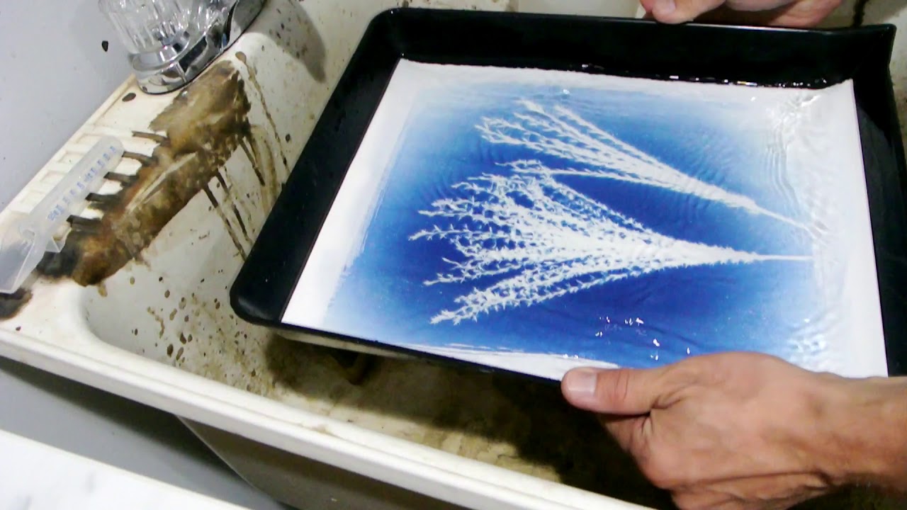 Study of Cyanotypes photograms - YouTube