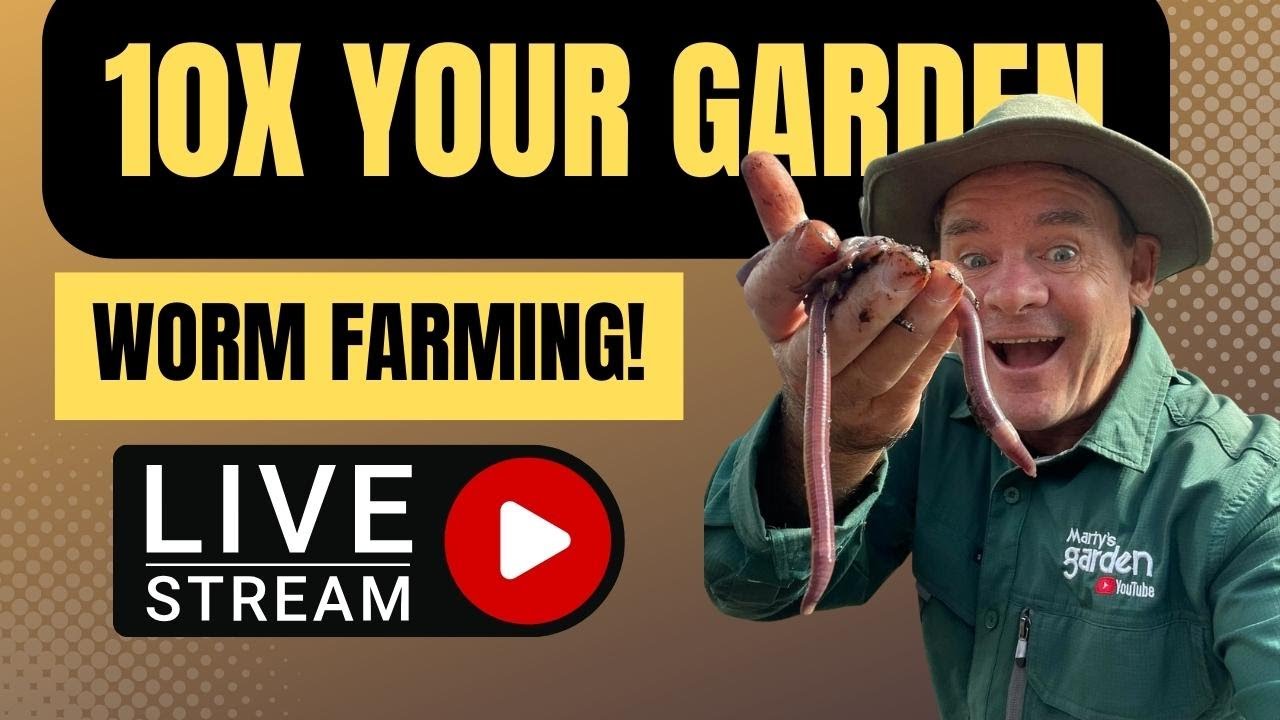 EASY 10 X Your Edible Garden Homestead Worm Farming! - YouTube