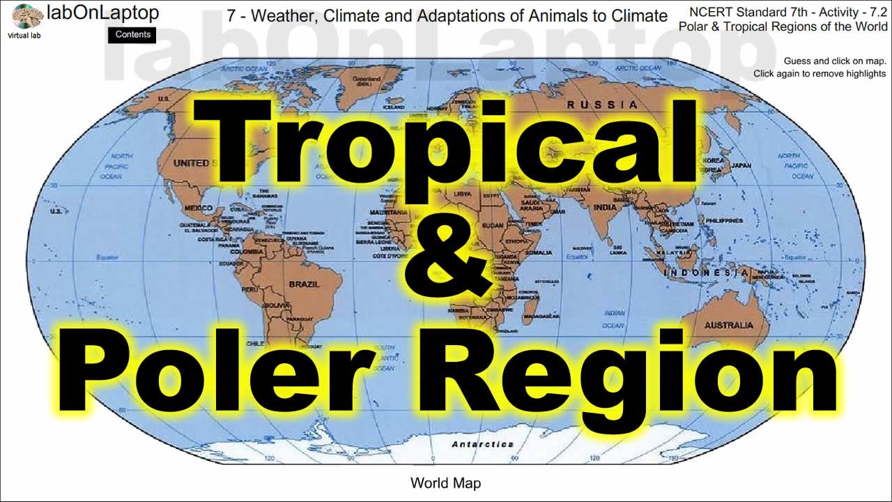 NCERT Class 7th Activity 7.2 | Weather & Climate | Poler & Tropical ...