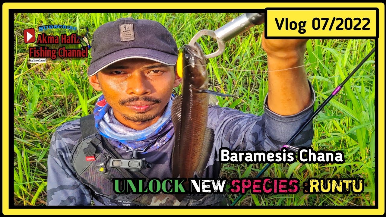 Casting Ikan Runtu Di Matu Daro - YouTube