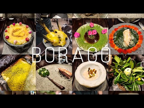 Boragó: Santiago's Culinary Masterpiece | Best Restaurant in Chile 2023 ...