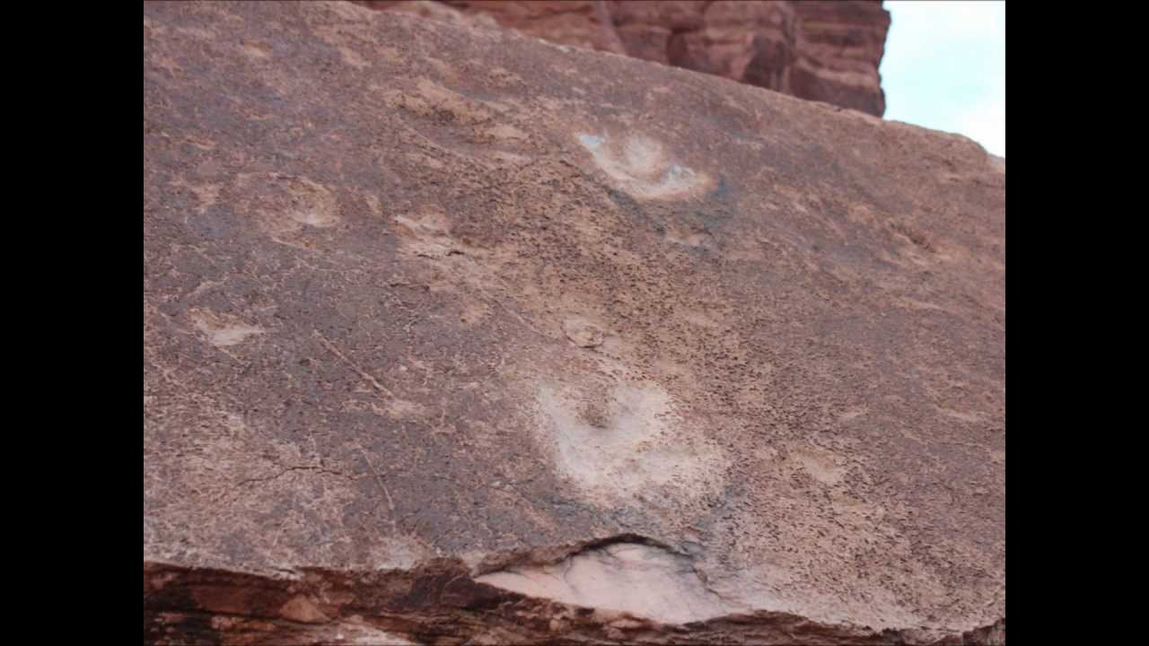Poison Spider Dinosaur Tracks - YouTube