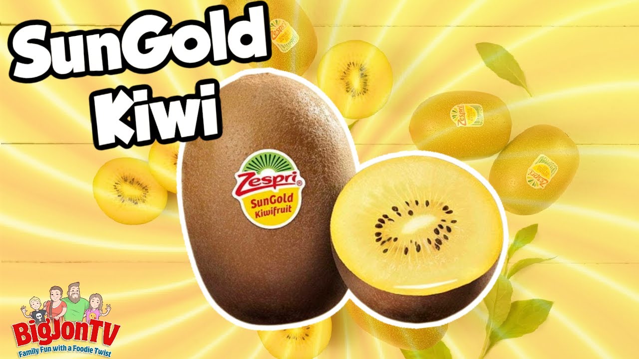 Jami Tried a NEW Fruit! Zespri SunGold Kiwi || Taste Test Tuesday - YouTube