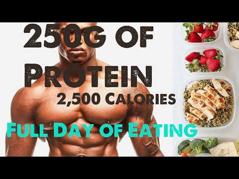 Full Day of Eating | 250g Protien | 2,500 Calories - YouTube
