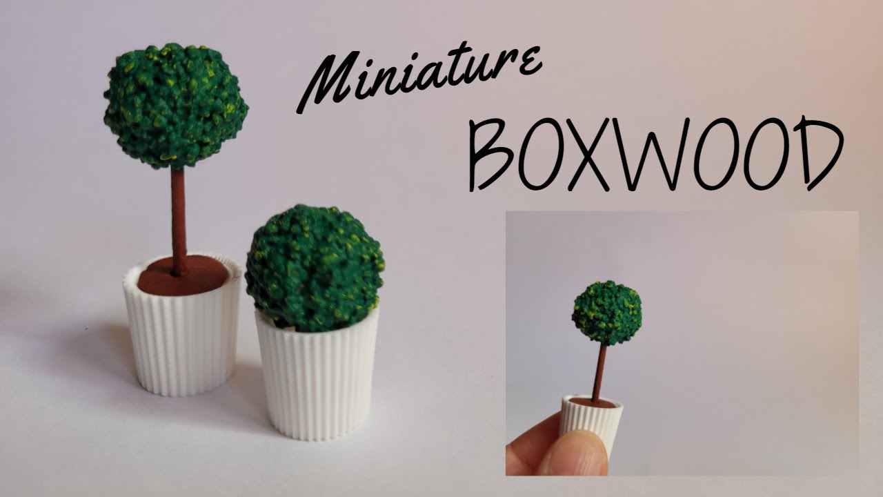 DIY Miniature Boxwood | Easy Tutorial | Dollhouse - YouTube