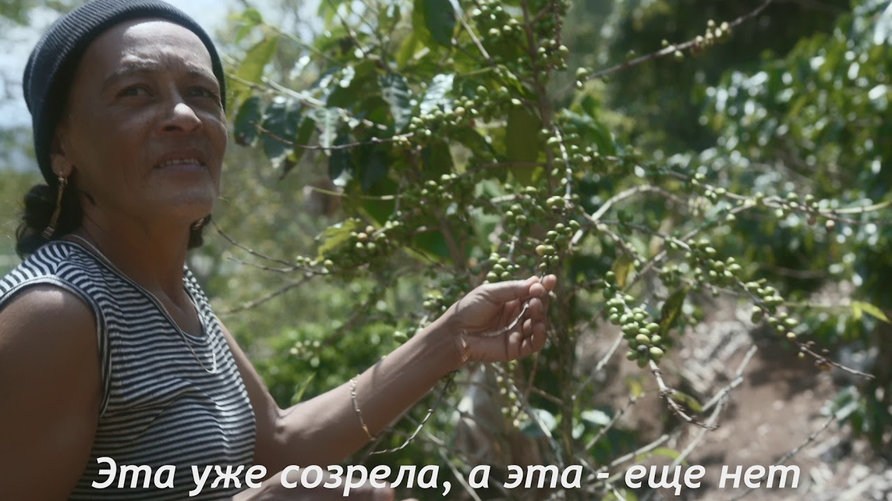 Paulig Mundo Movie - YouTube